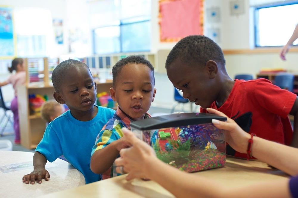 GA Pre K Assistant Teacher | Discovery Point - Post Road