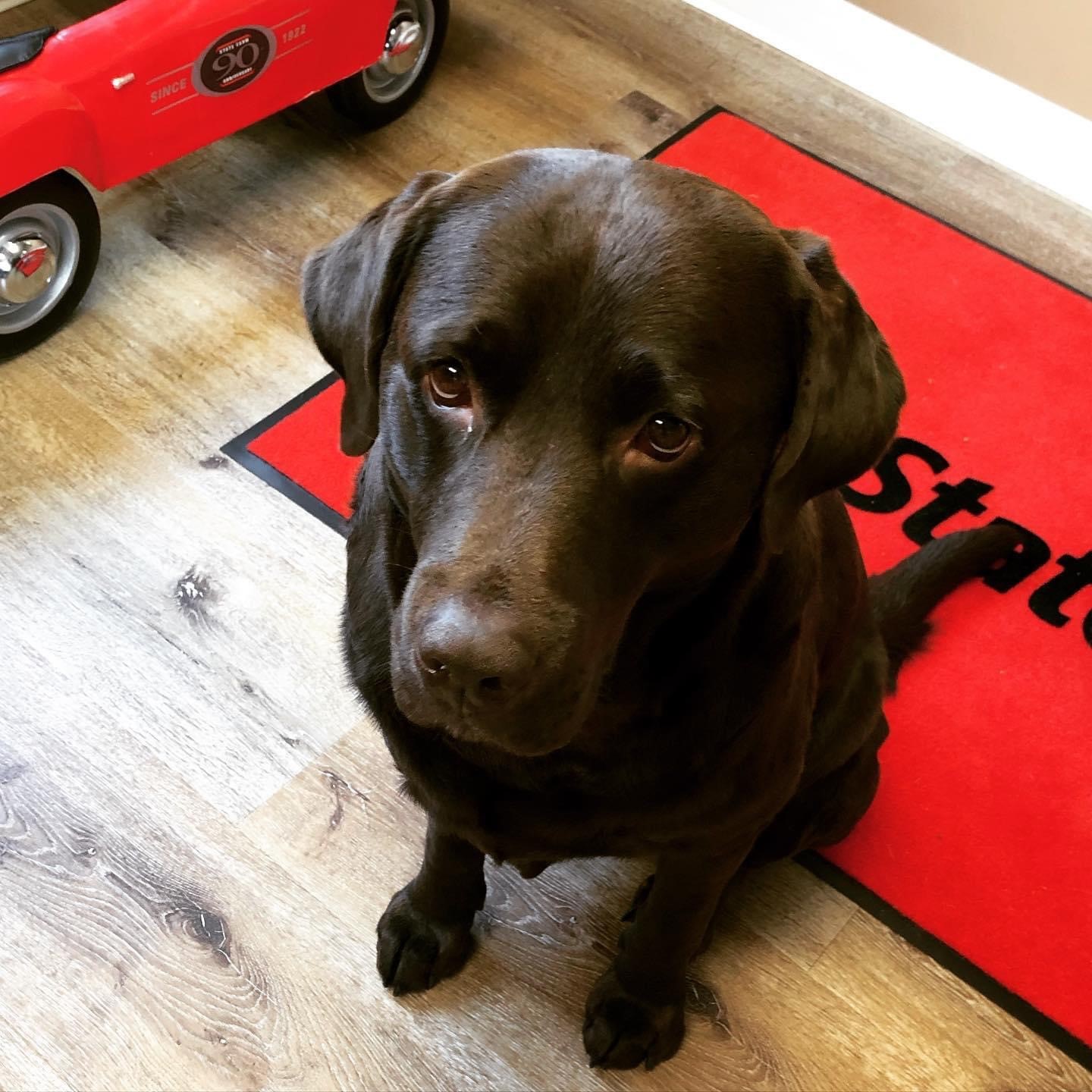 Lindsay Brown - State Farm Agent