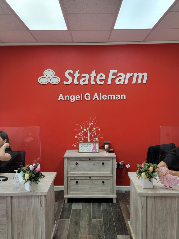 Angel Aleman - State Farm Agent