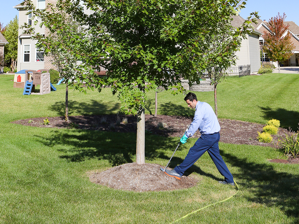 Spring-Green Lawn Care of Centreville, VA