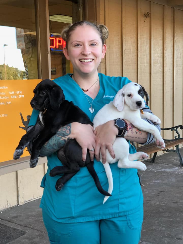 Sano Hospital for Animals