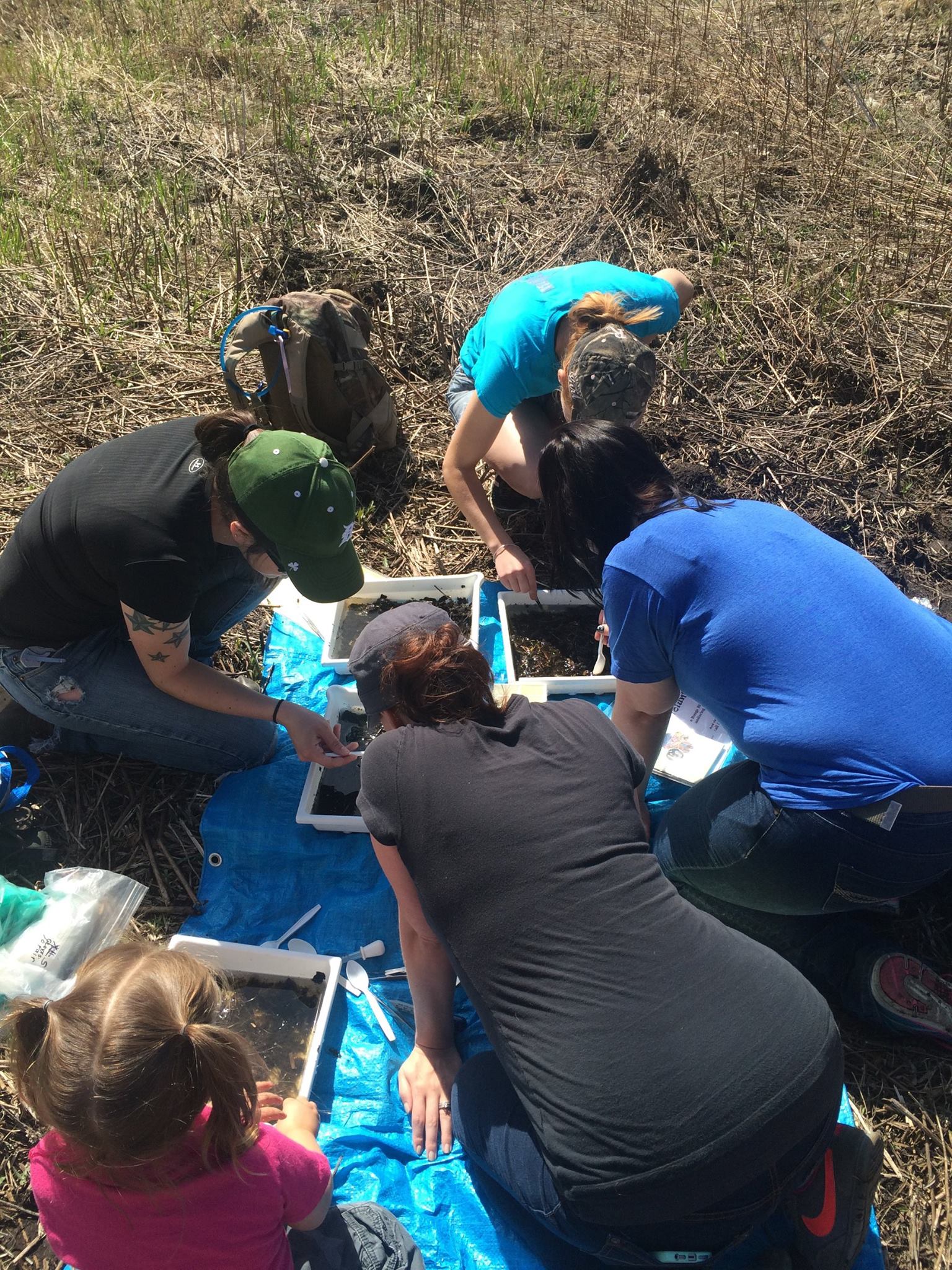 Arch Environmental Group Inc