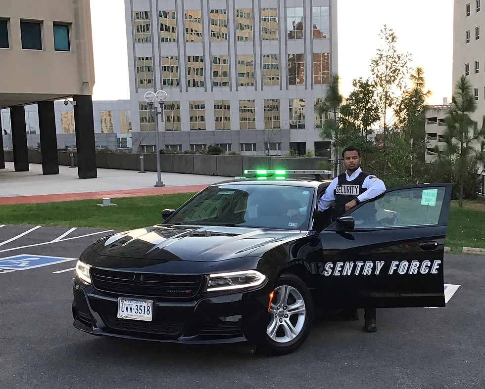 Sentry Force Security LLC