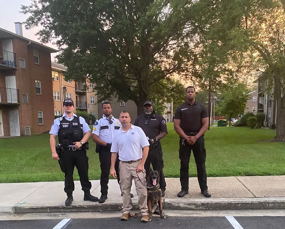 Sentry Force Security LLC