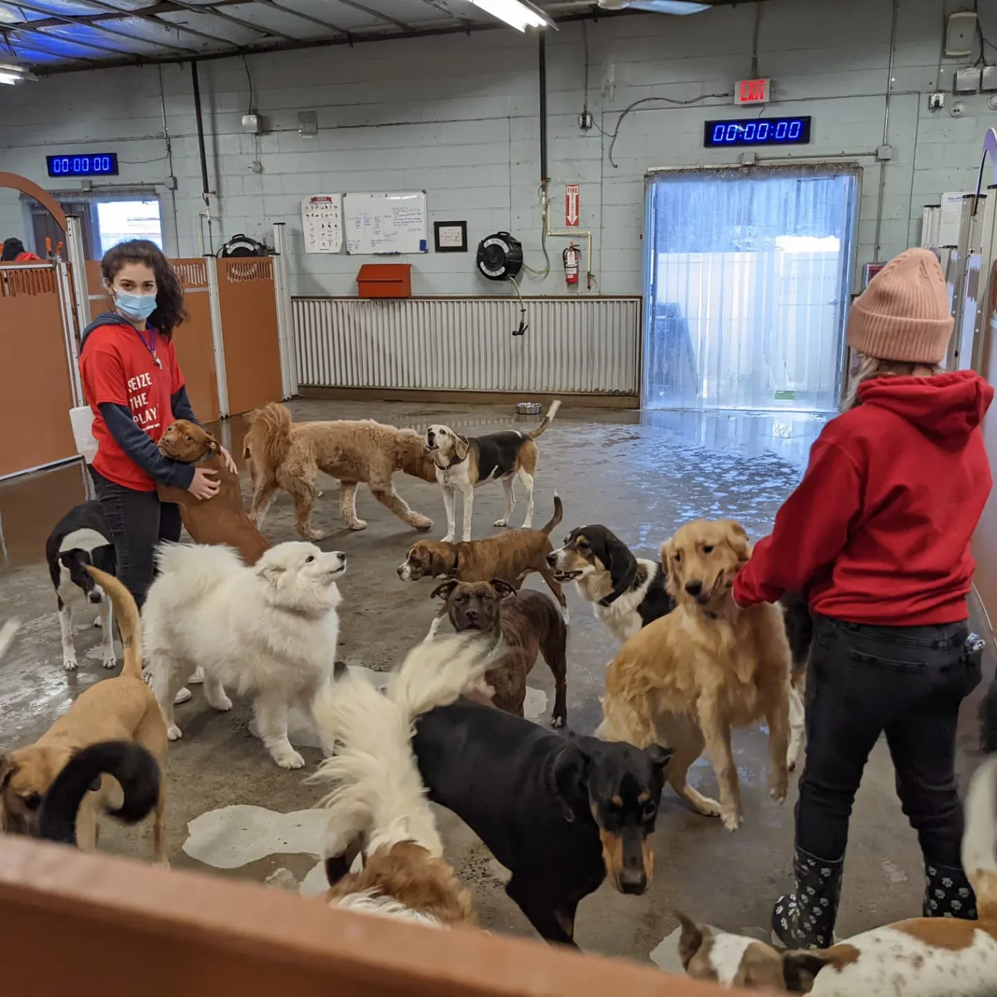 Camp Bow Wow Denver Central