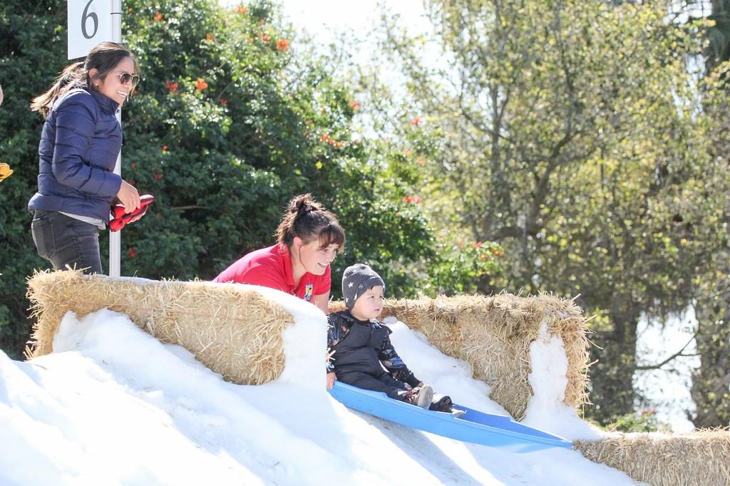 Major Gifts Officer | Santa Barbara Zoo