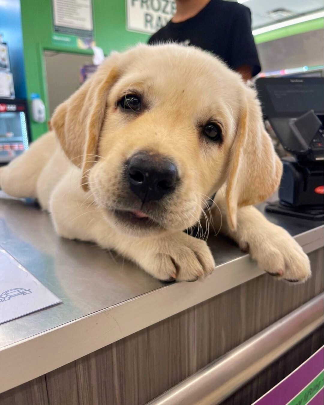 HIGH POINT ESTATES INC