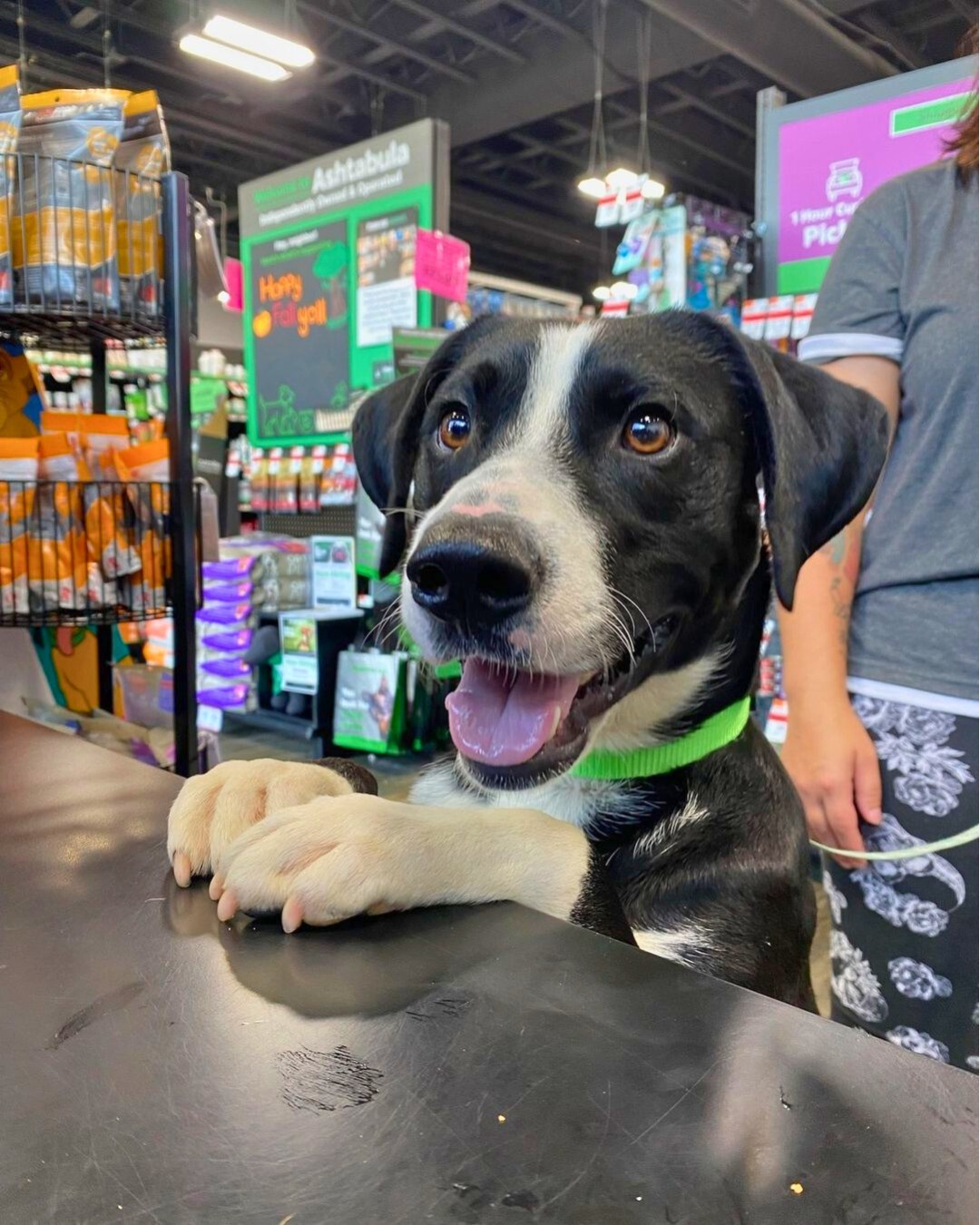 HIGH POINT ESTATES INC