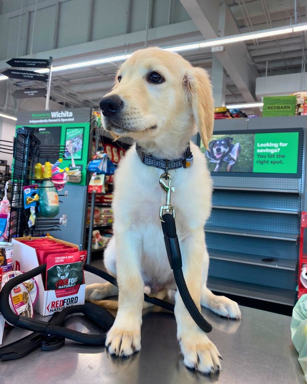 HIGH POINT ESTATES INC