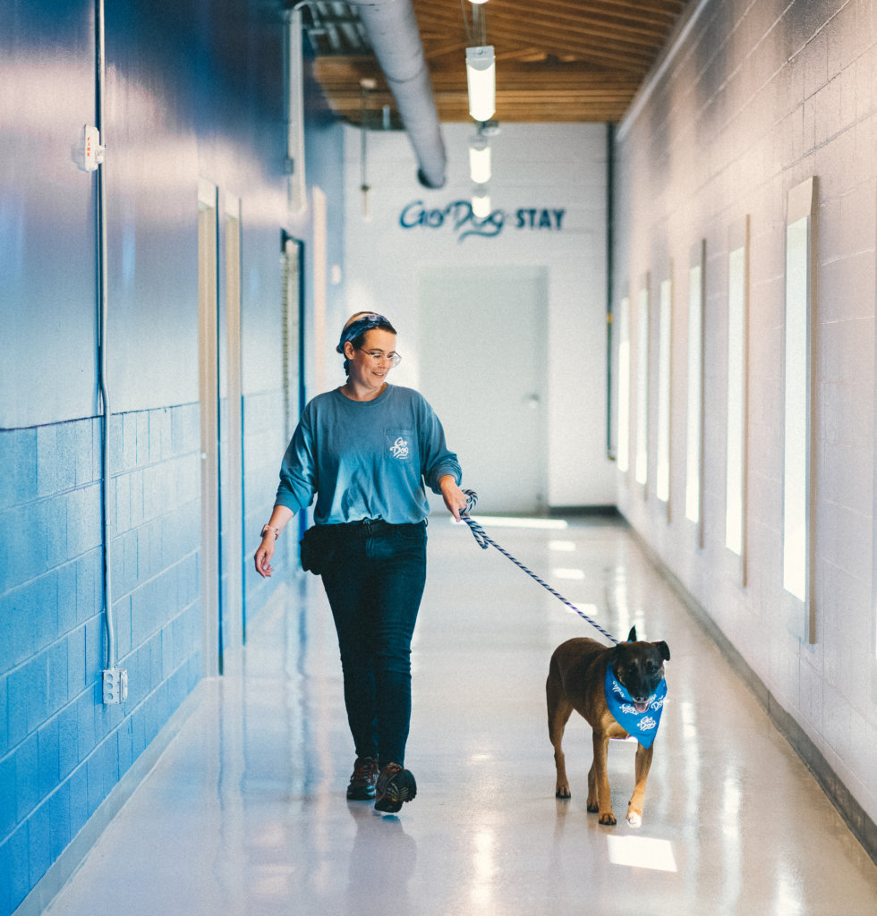 GoDog - Founder Campuses