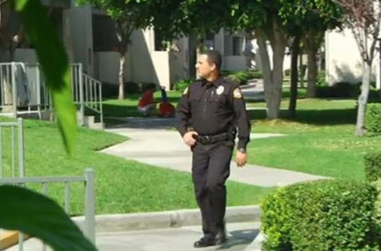 Maximal Security Services