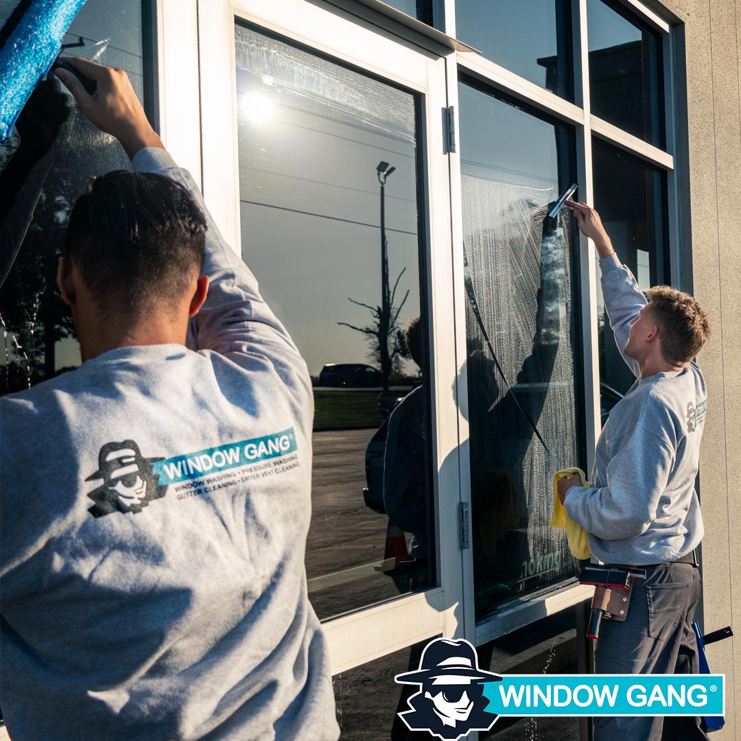 Window Gang Greensboro