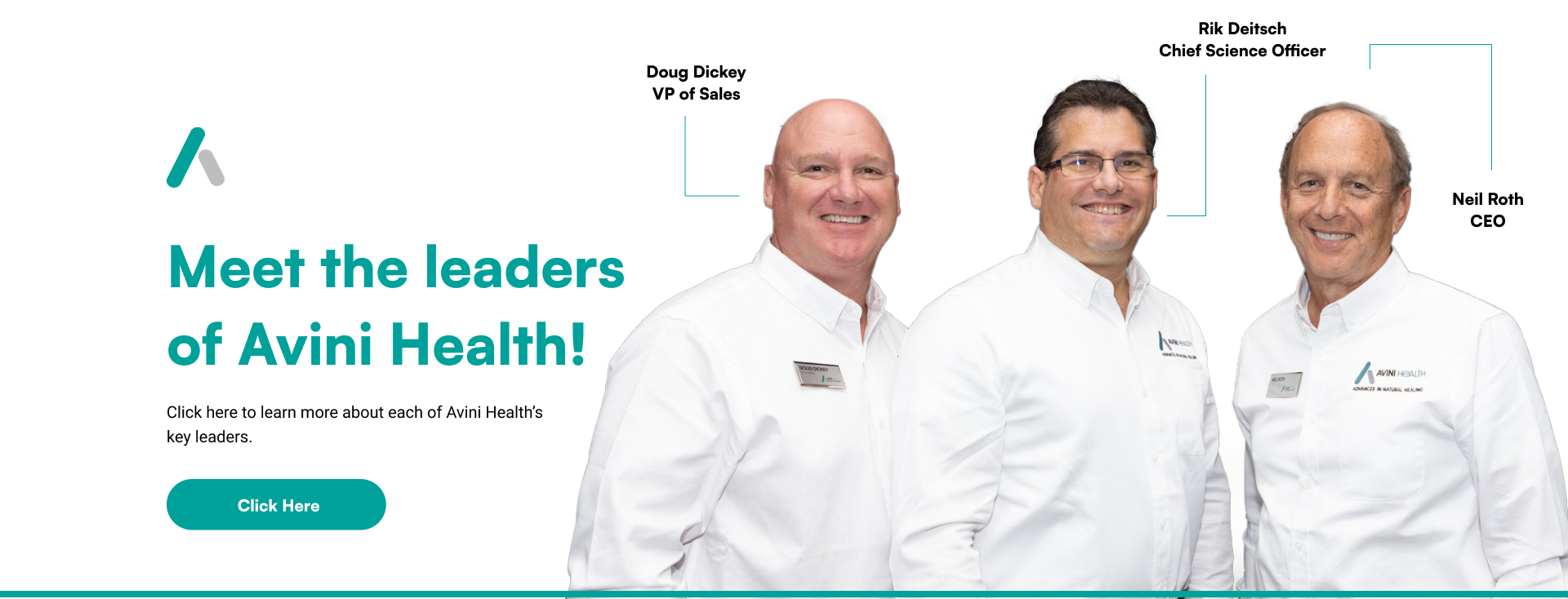 AVINI HEALTH CORPORATIO