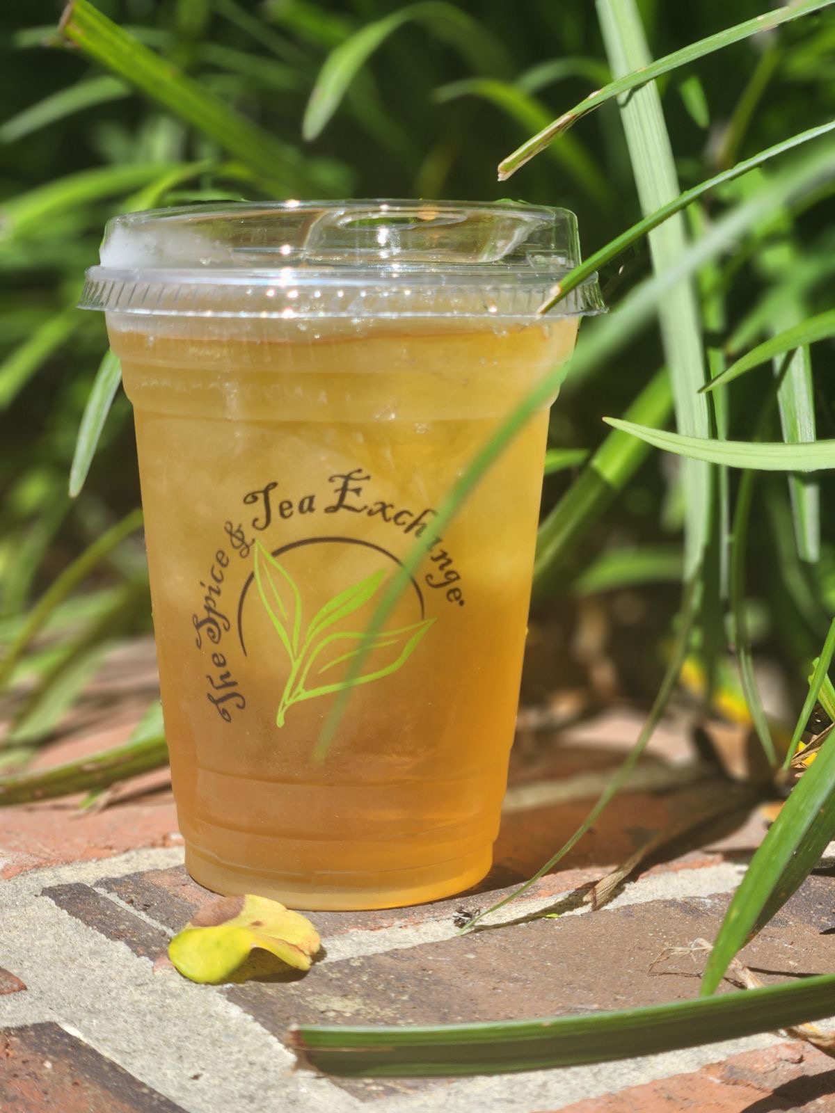 The Spice & Tea Exchange - Corporate