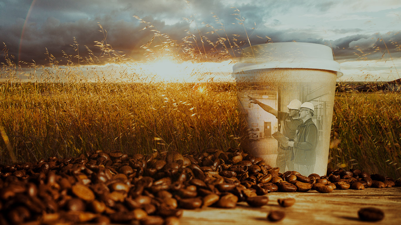 Senior Financial Analyst | Danimer Scientific LLC